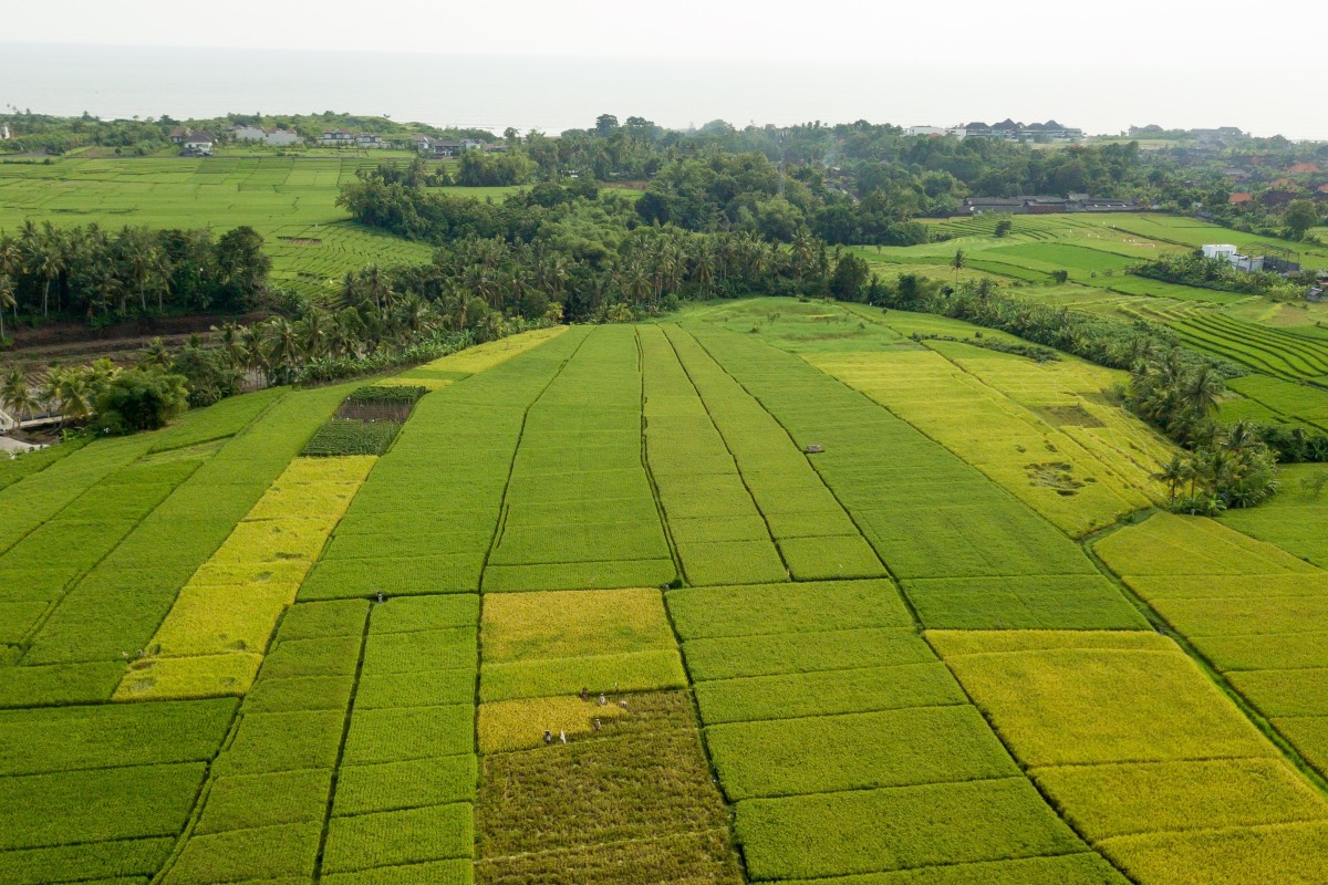 Loi artificialisation des sols : quel impact sur la ZAN